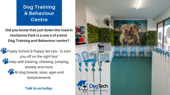 Dog Enclosure & Cage Specialist | Vebo Pet Supplies Australia